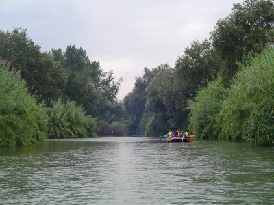 Concepto de río - Definición en DeConceptos.com