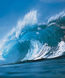 Concepto de océano - Definición en DeConceptos.com