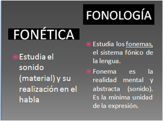 Fonetica Definicion Fonetica Definicion
