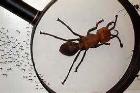 Concepto de ínfimo - Definición en DeConceptos.com